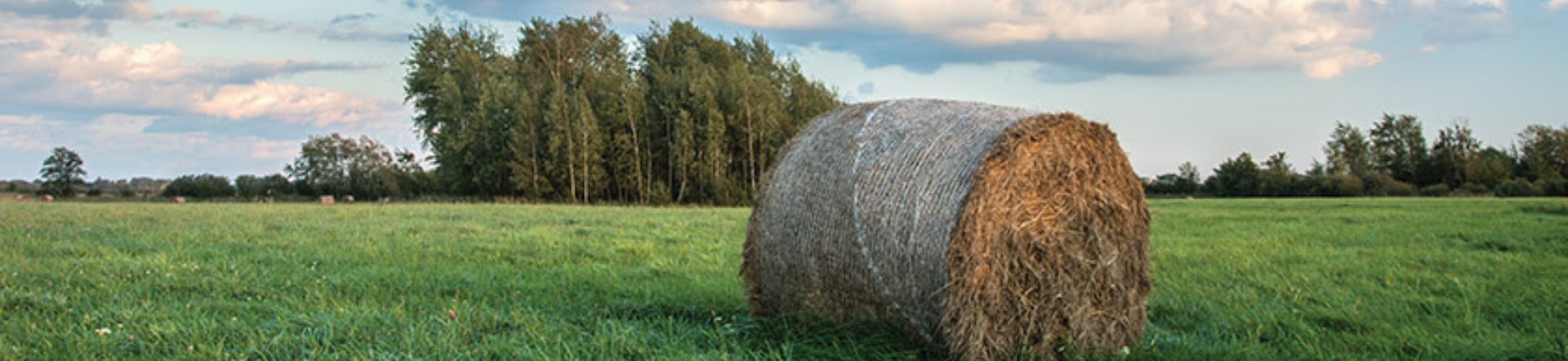 Real Estate Development: Land Development | The CCIM Institute